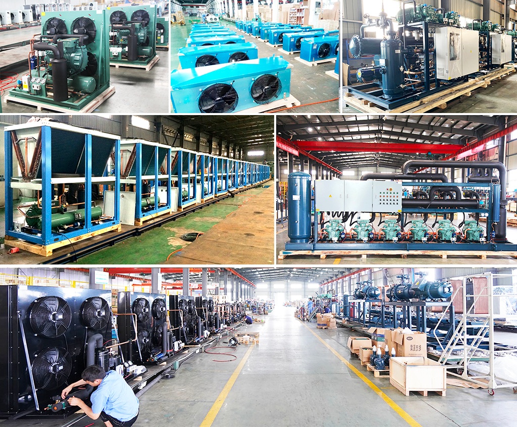 Box type Bitzer condensing units - NUONUO refrigeration