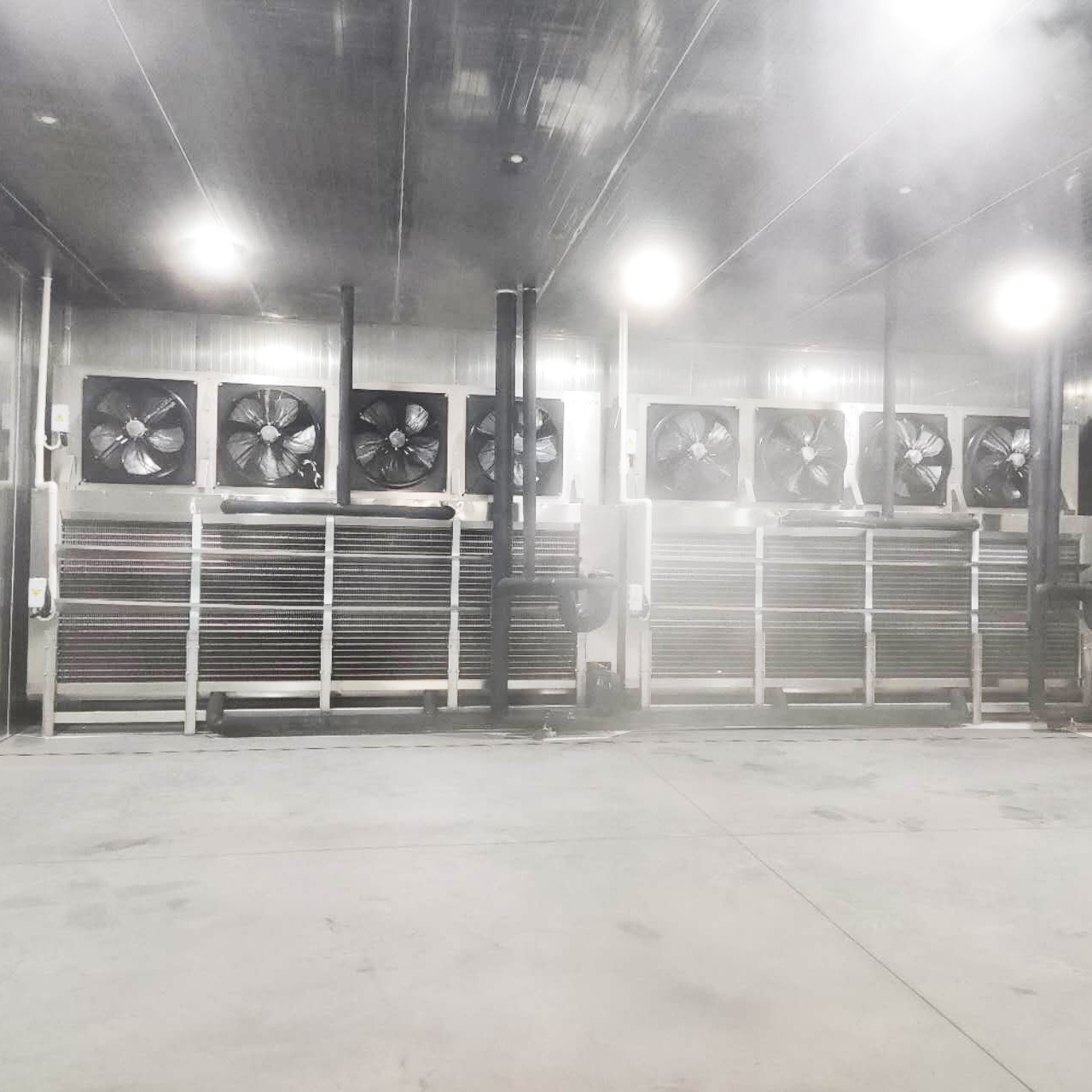 Air blast freezer - NUONUO refrigeration