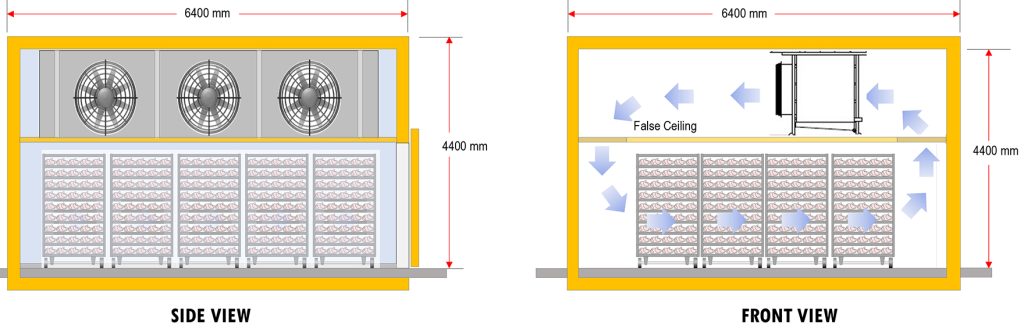 Air blast freezer - NUONUO refrigeration