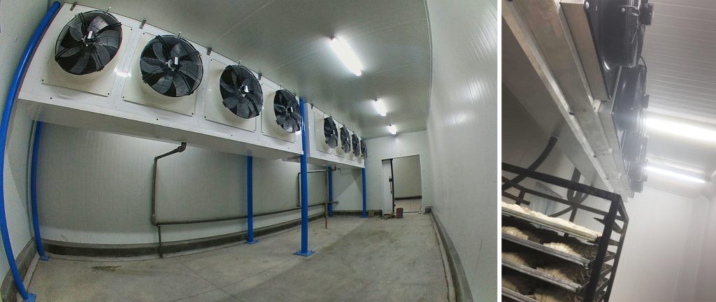 Air blast freezer - NUONUO refrigeration